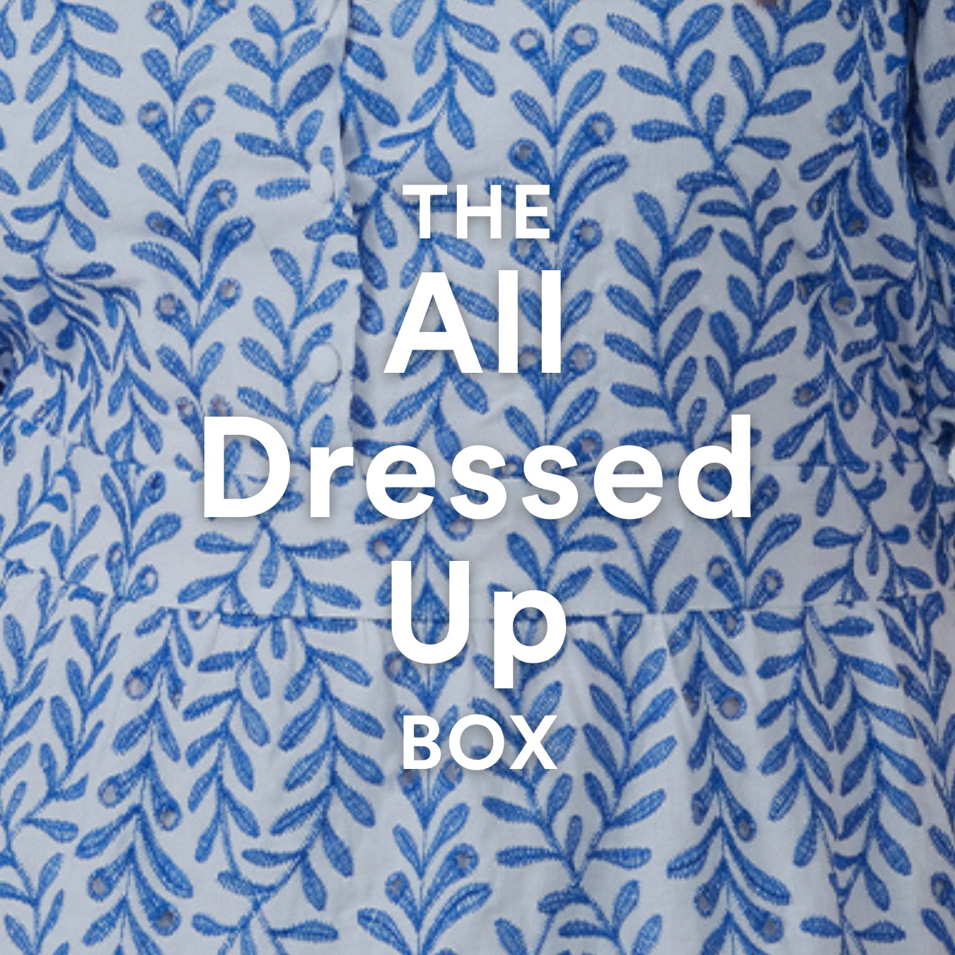 Plus Size Clothing and Personal Styling for Women | Dia & Co